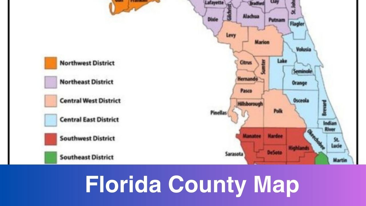 Florida County Map with Cities | PDF